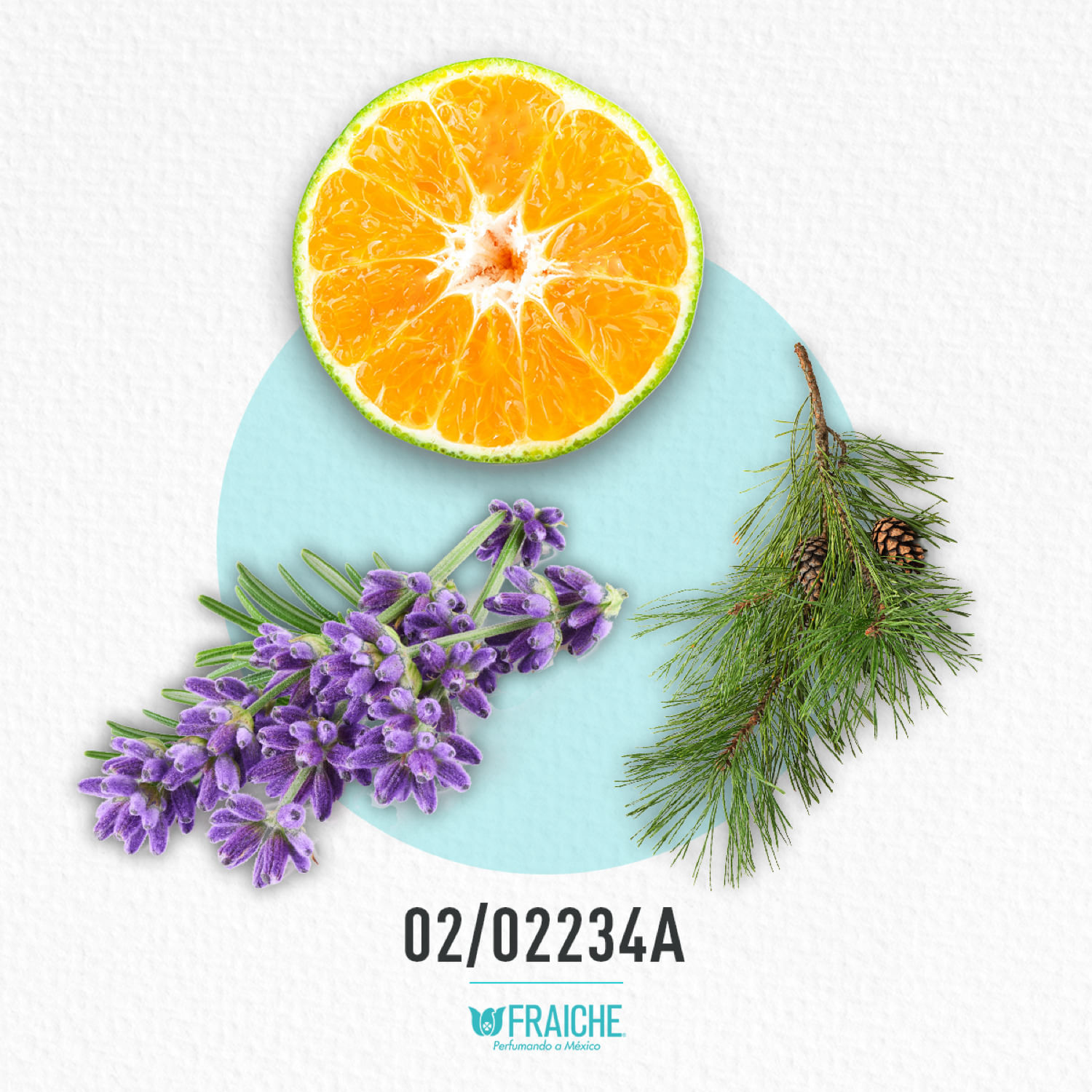 HAZZ CHROM PAR Perfume