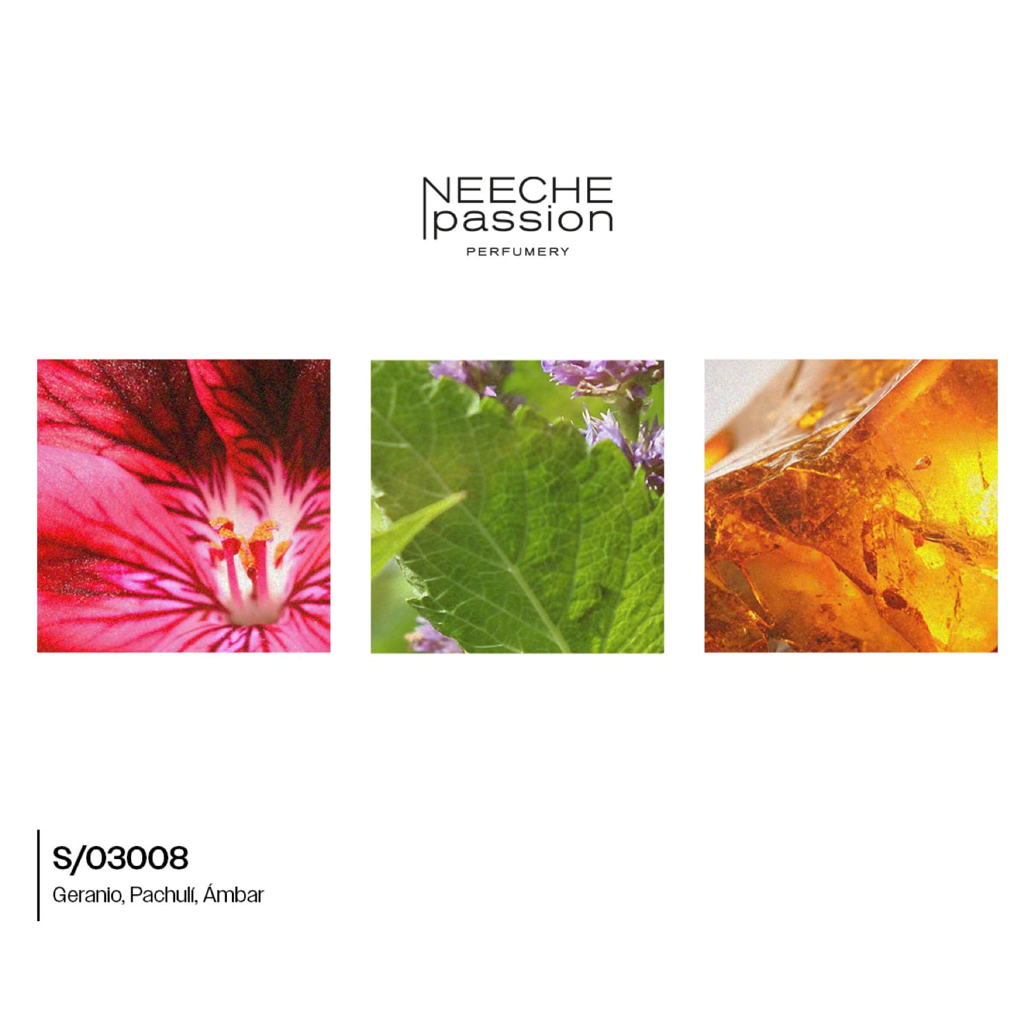 UINDELIBLE TRACE Perfume