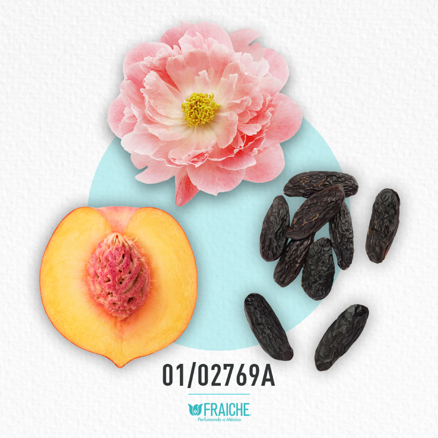 MCHRIS MDIO EDP Perfume