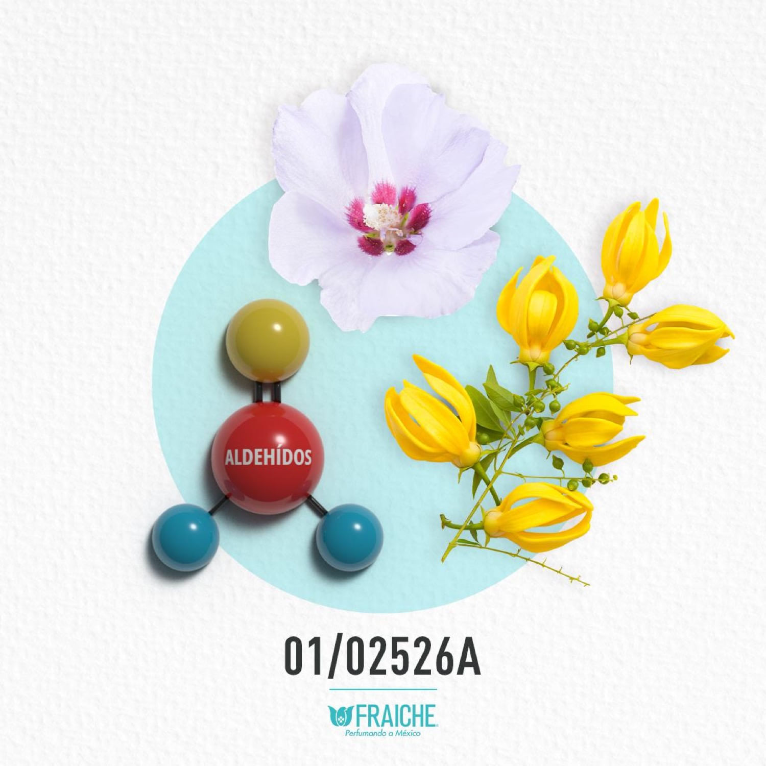 MCHAN EAU CHAN Perfume