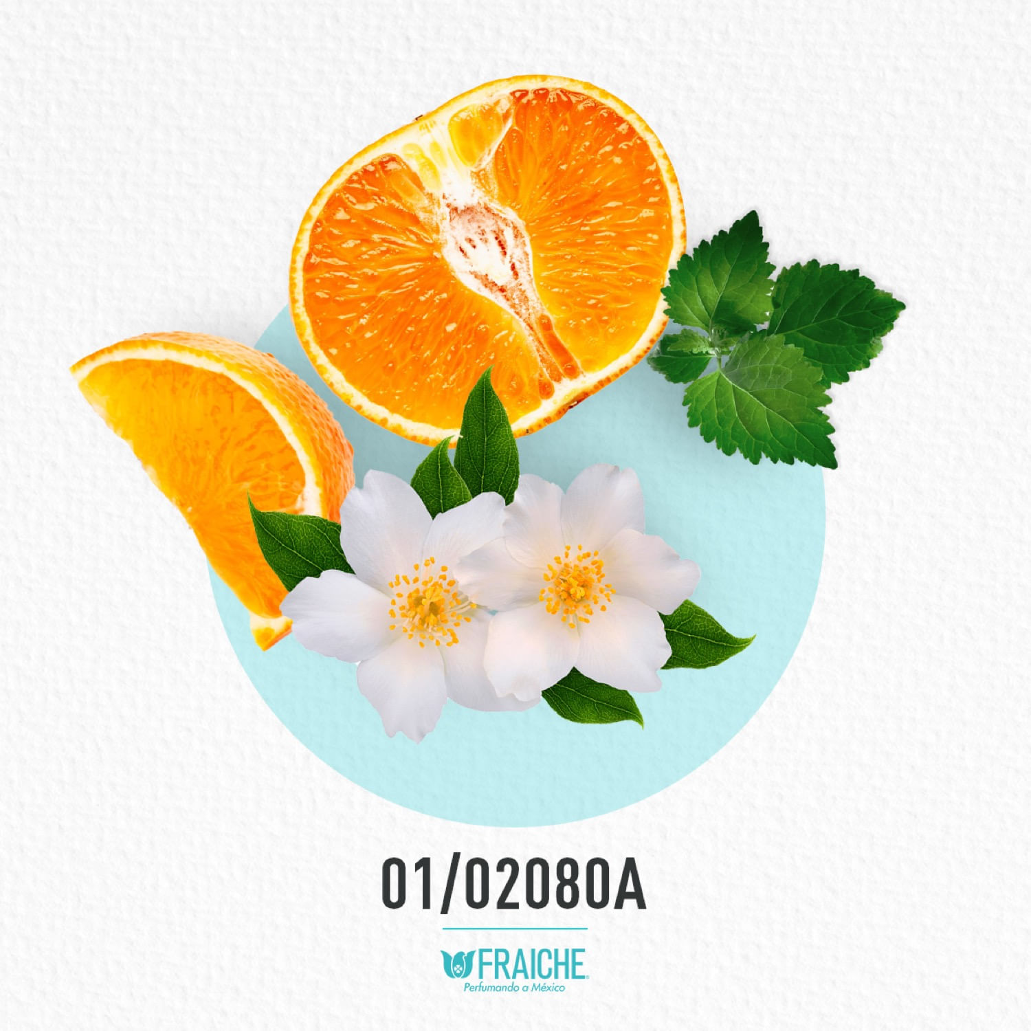 MCHRIS MDIO PERF Perfume