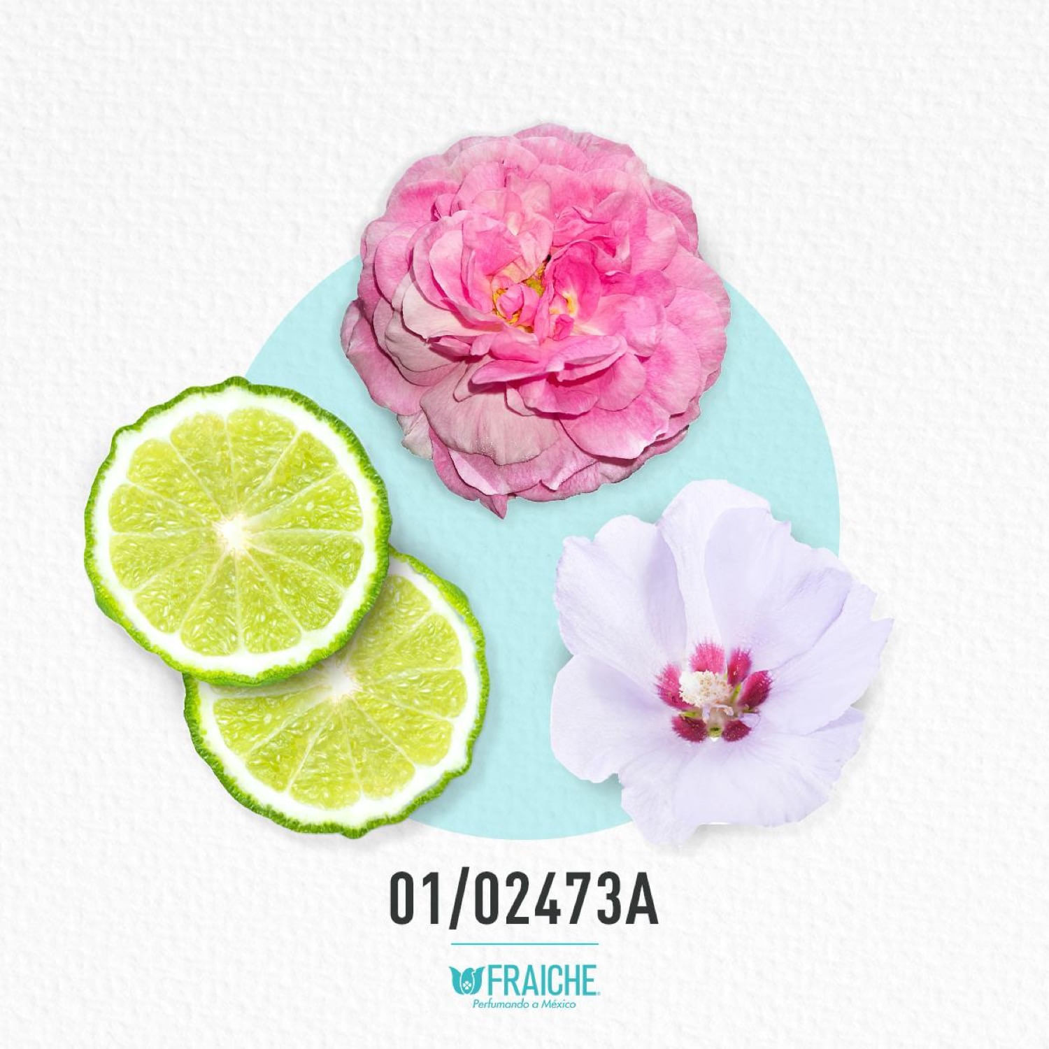 MLANCO IDOL Agua de Perfume