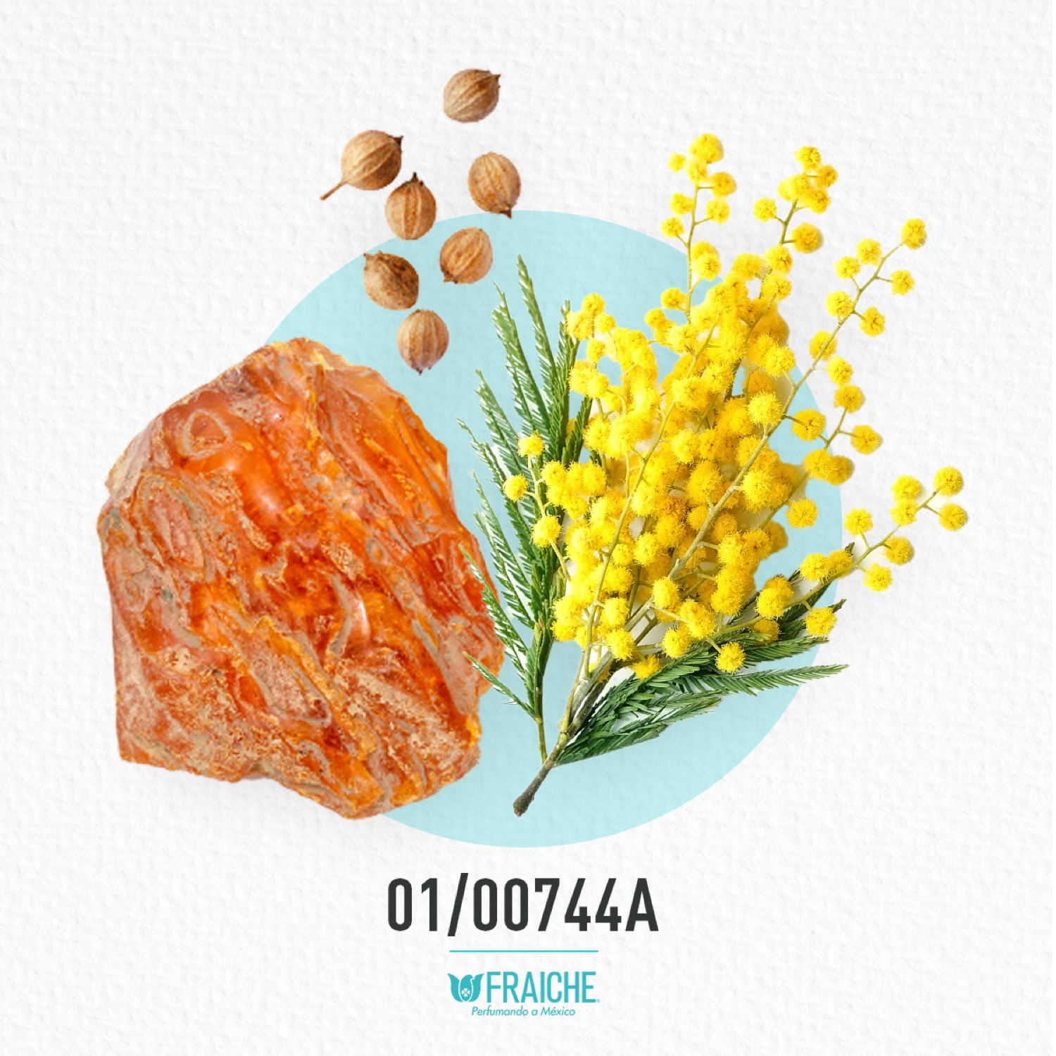 MCHAN COCO CHAN Agua de Colonia