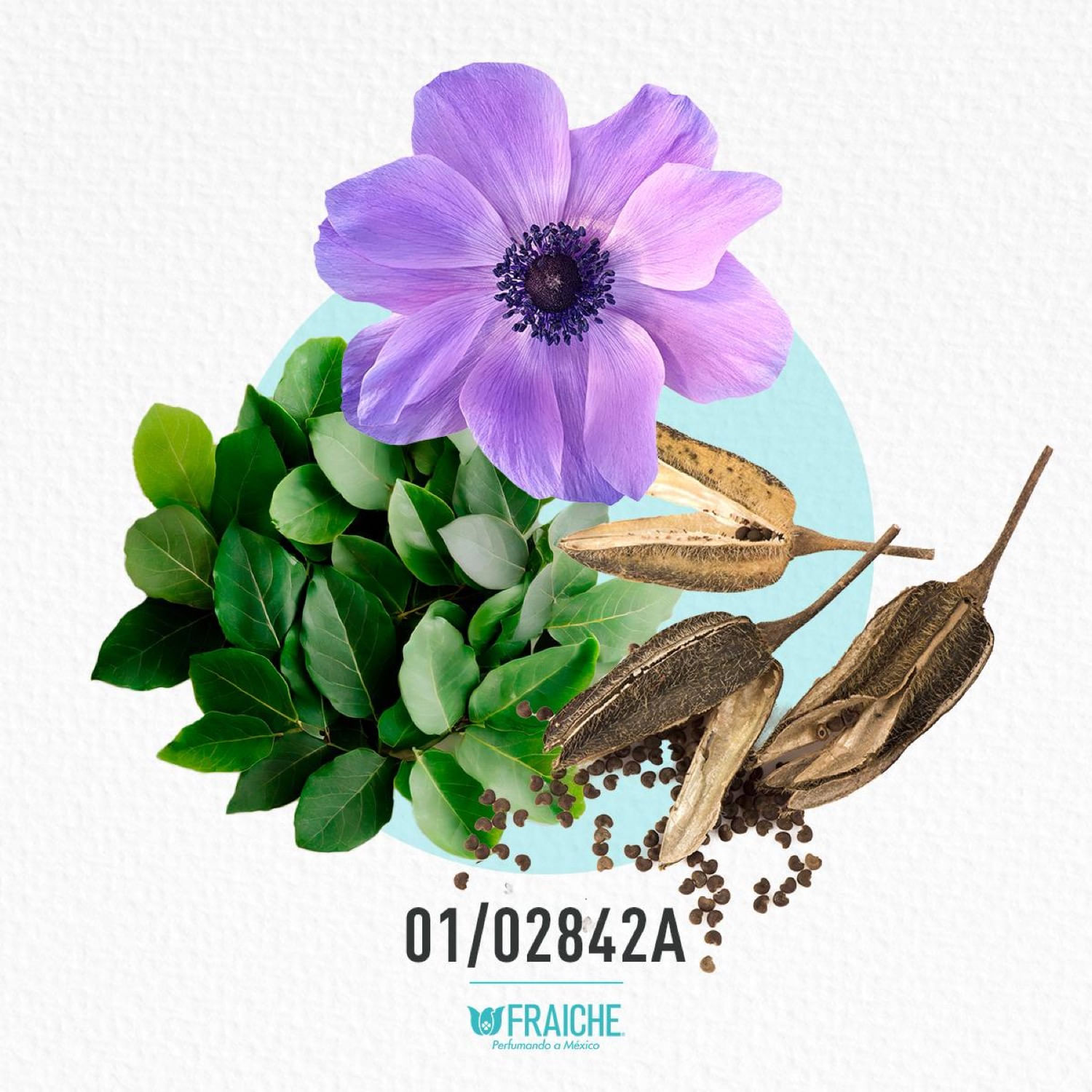 MMJACOB DAI EAUFRE Agua de Colonia